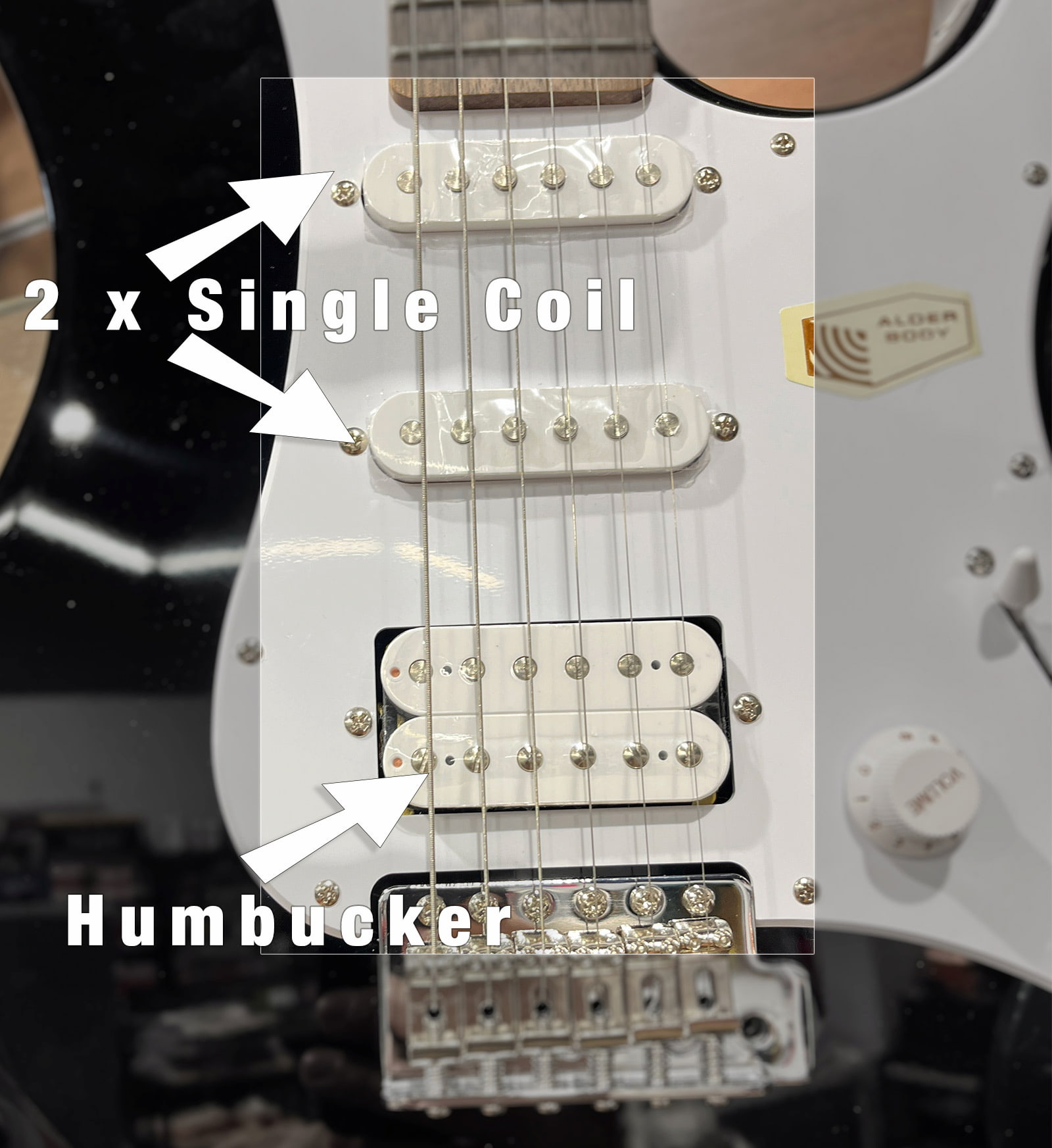 Doza Single Coil vs Humbucker